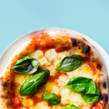 Home | Outlet Collection Winnipeg